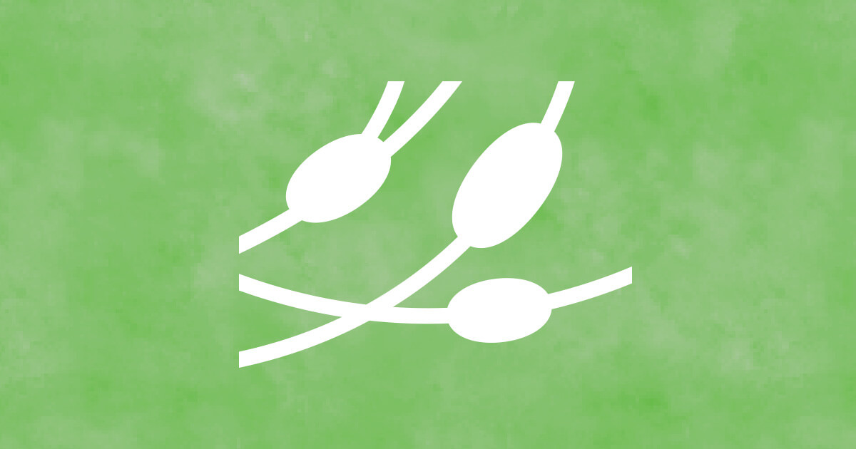 原発性マクログロブリン血症(WM/LPL)の治療でベレキシブルを使用される方へ | 小野薬品 がん情報 一般向け